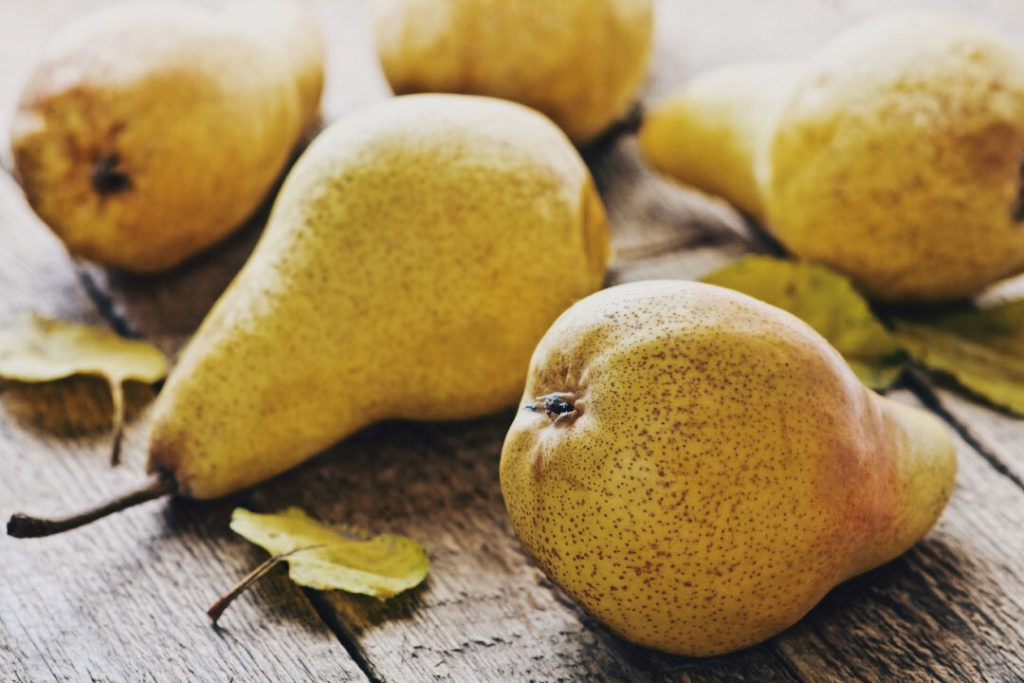 Tipps rund um die Birne: Lagerung, Reifegrad und ein paar Rezeptideen