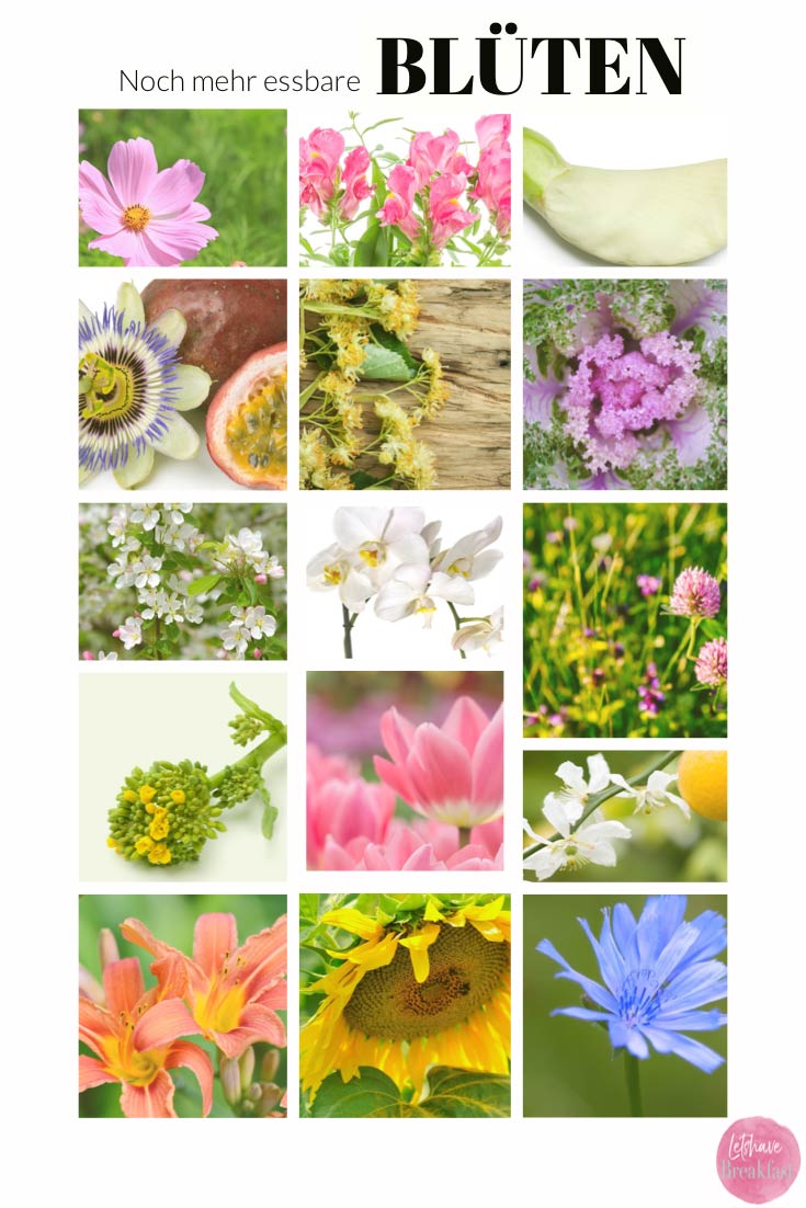 Essbare Blüten und blühende Kräuter: Namen, Tipps und ein paar Ideen